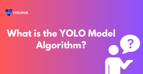 What is YOLOv8 Algorithm? | Advanced Object Detection Explained