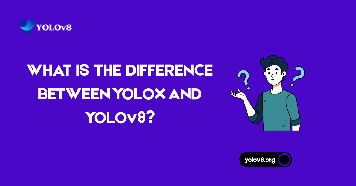 YOLOX vs YOLOv8: What’s the Real Difference?